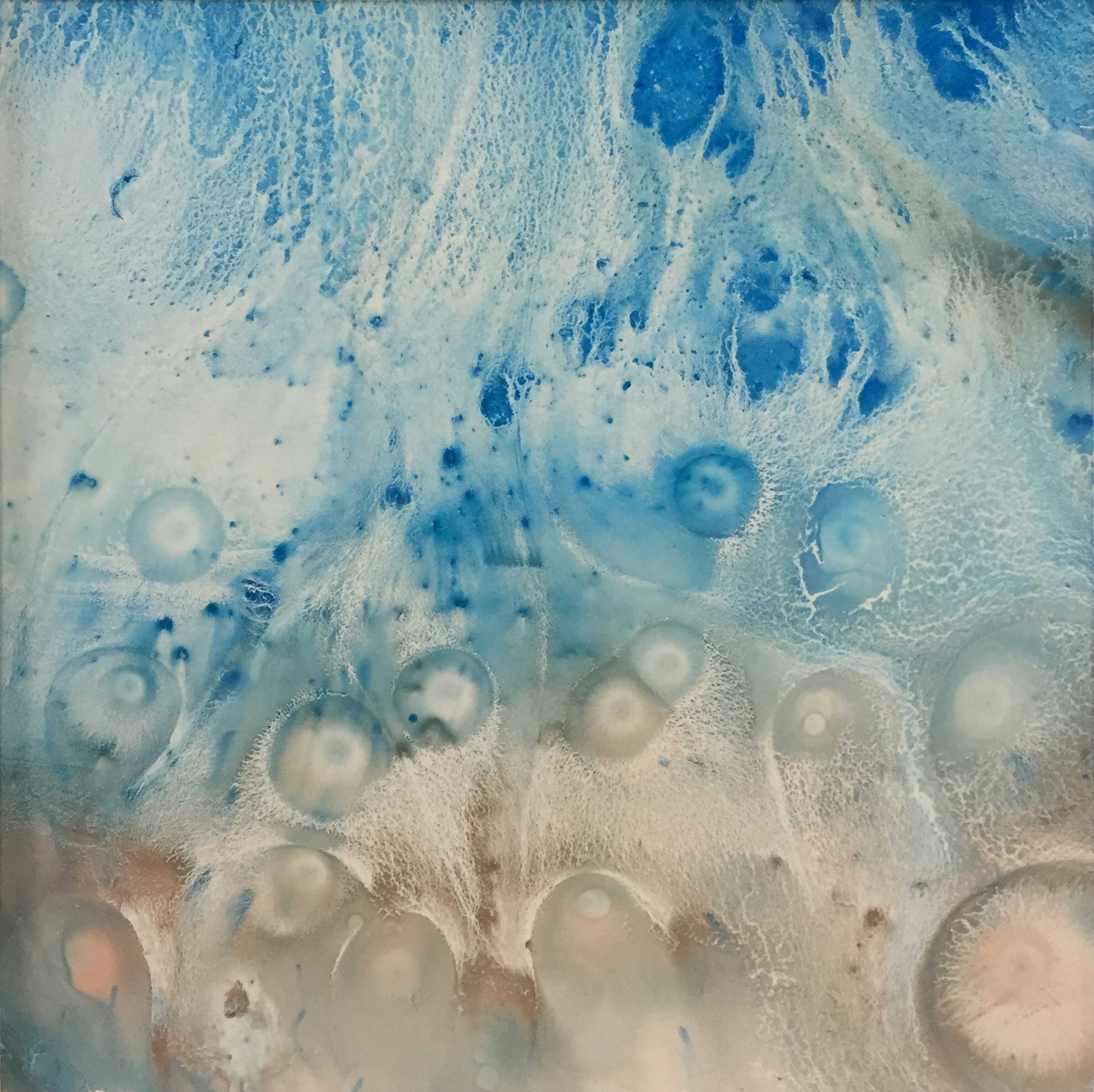 bio and cv – Liza McCosh